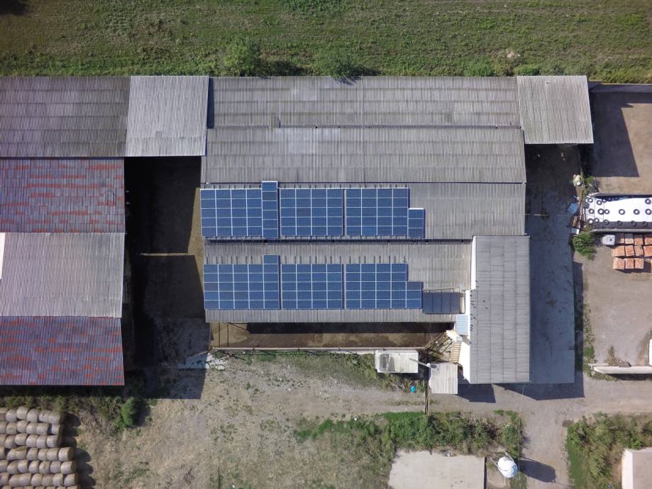 Poslovni prostor: Govedarska farma u Selci Đakovački, 11.370 m2 (prodaja)