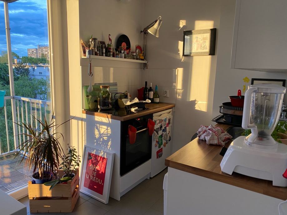 Predivan stan u Trnskom (prodaja)