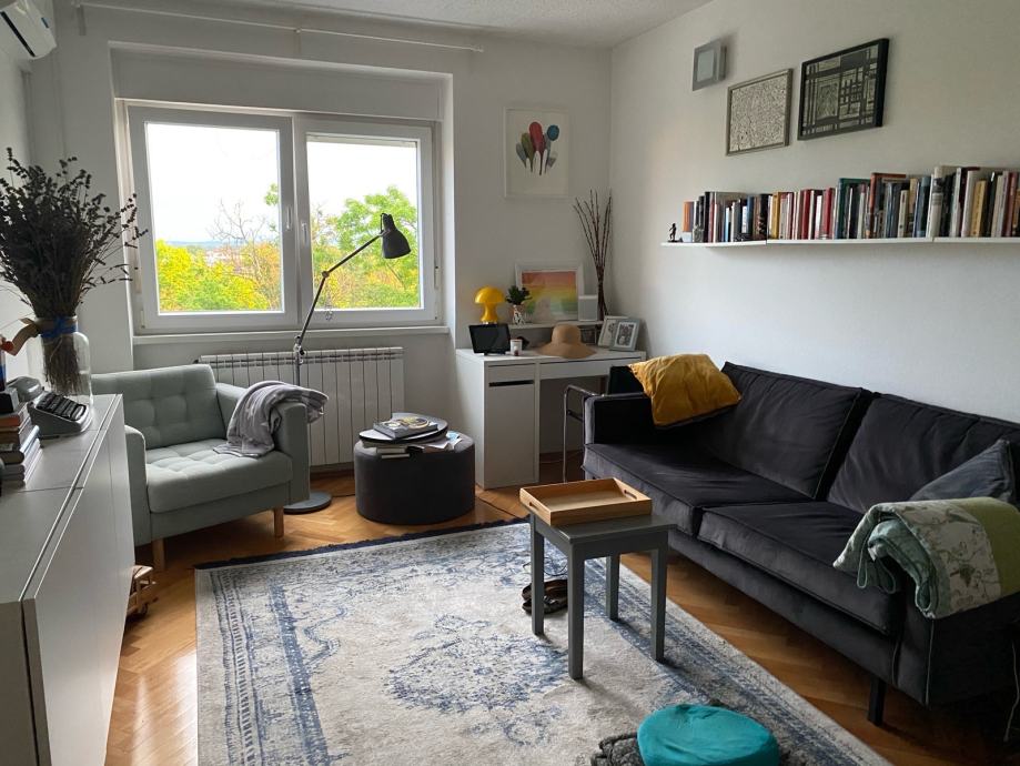 Predivan stan u Trnskom (prodaja)