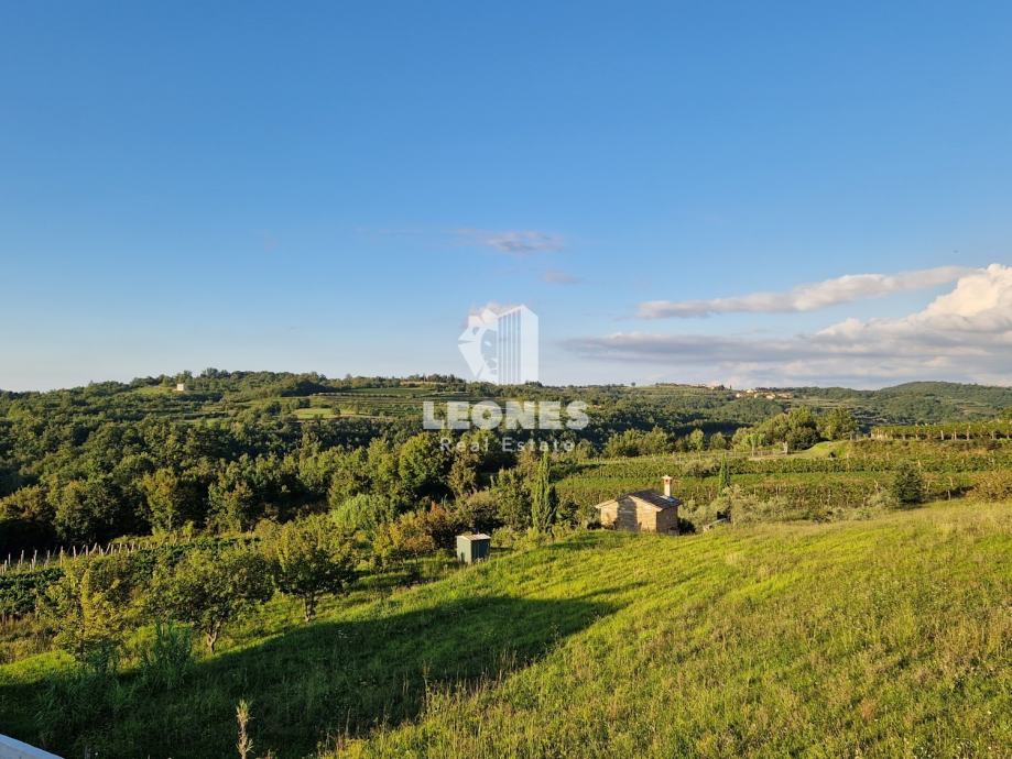 Predivna kuća s bazenom u mirnom okruženju u okolici Buja, Momjan (prodaja)