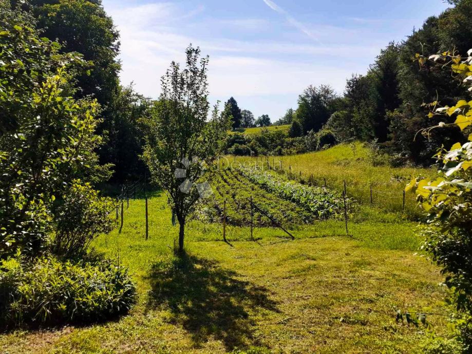 PREKRASNA OBITELJSKA KATNICA S VRTOM! SAMO U PONUDI DOGME ! (prodaja)