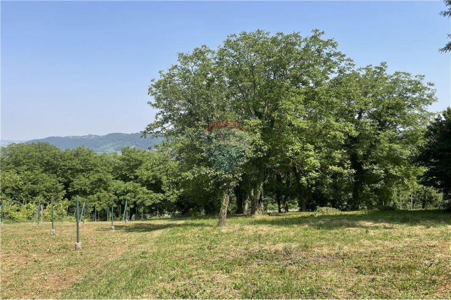 Prodaja: zemljište 2864 m2 Mala Rakovica, Samobor