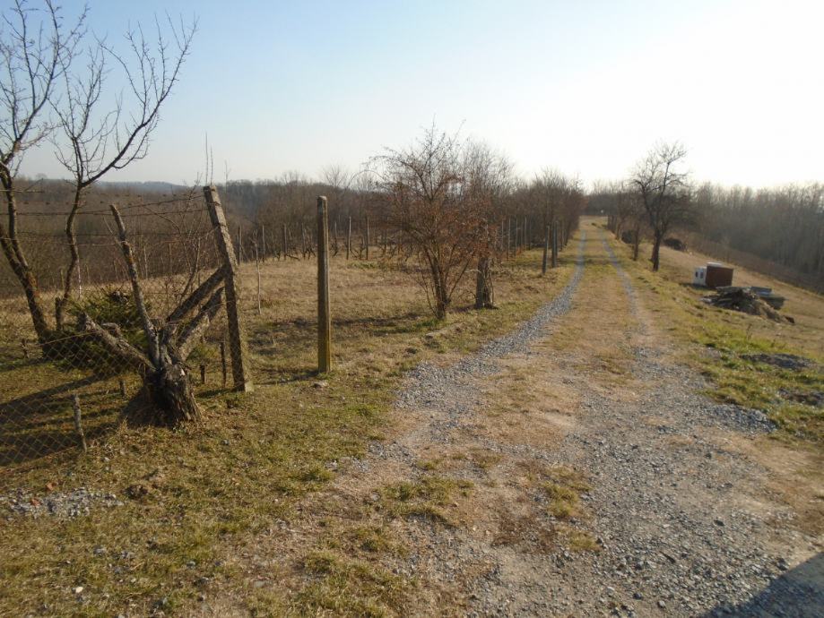 Prodaje se zemljiste i stara kuca