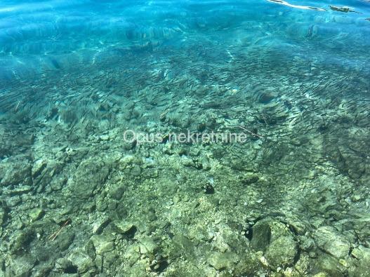 RADALJ, KLEK- kuća sa 3 namještena apartmana,prvi red do mora PRODANO ...