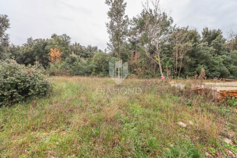 Rovinj!Poljoprivredni teren blizu mora!