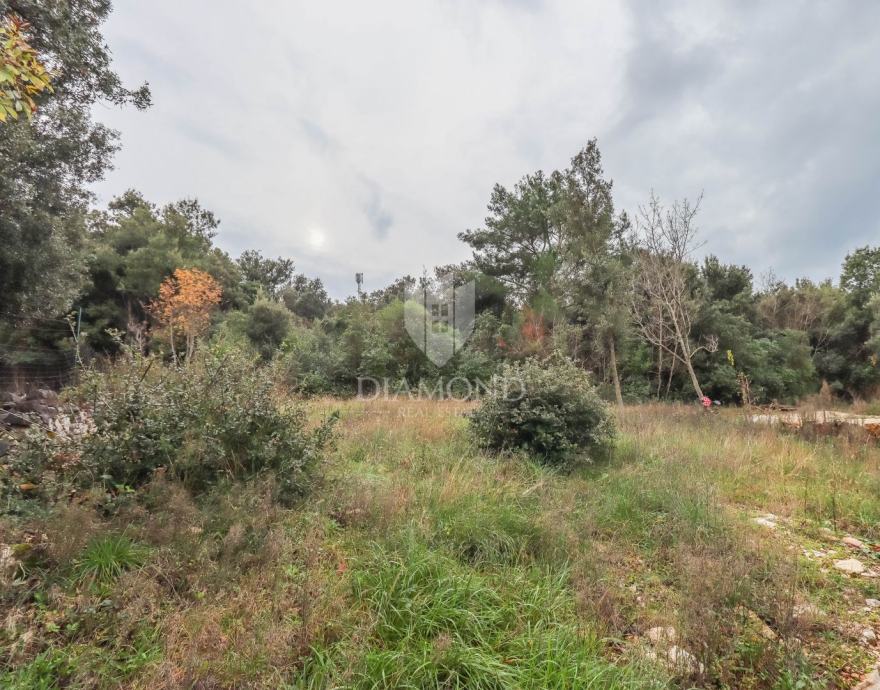 Rovinj!Poljoprivredni teren blizu mora!