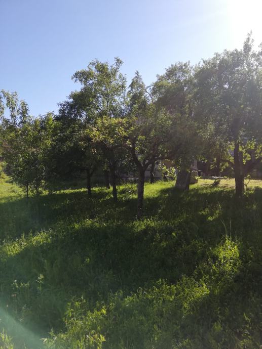 Samobor/ Perkovčeva, stara kuća na 1700 m2 okućnice !!! centar!! (prodaja)