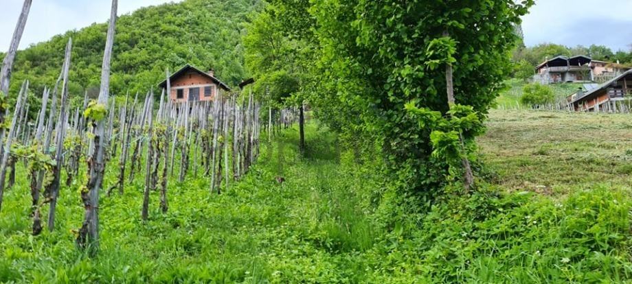 SAMOBOR - RUDE, EXKLUZIVNA LOKACIJA , U SRCU PRIRODE 784m2