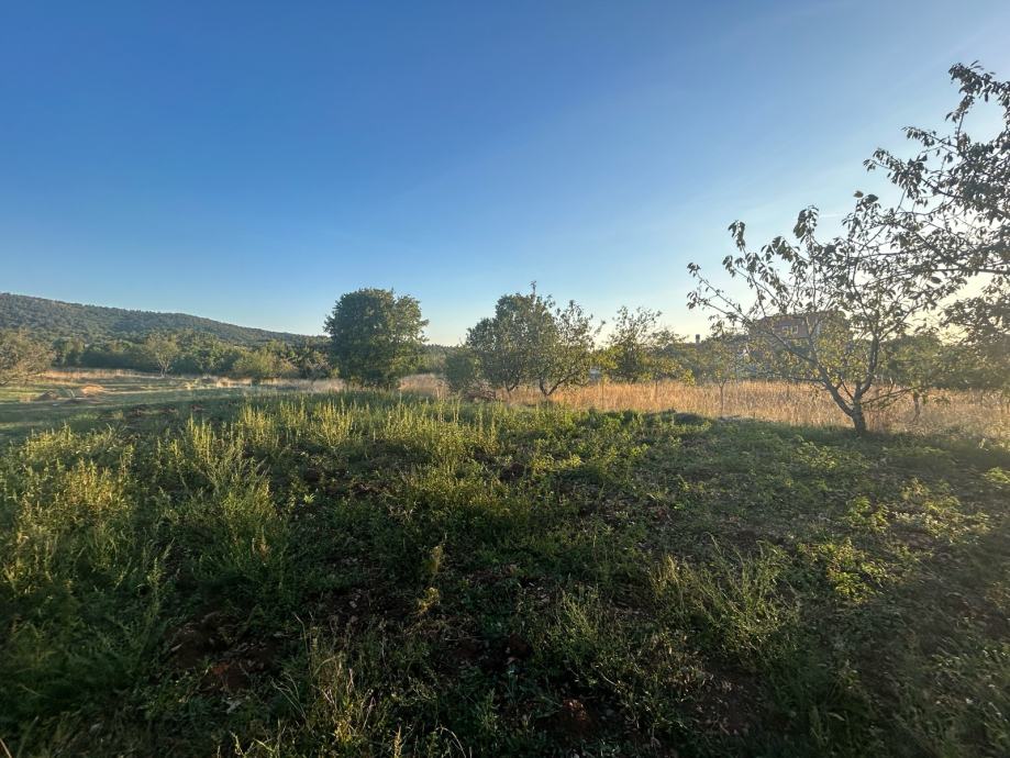 Samostojeća kuća i parcela od 3000m2 - Ogorje, Muć (prodaja)