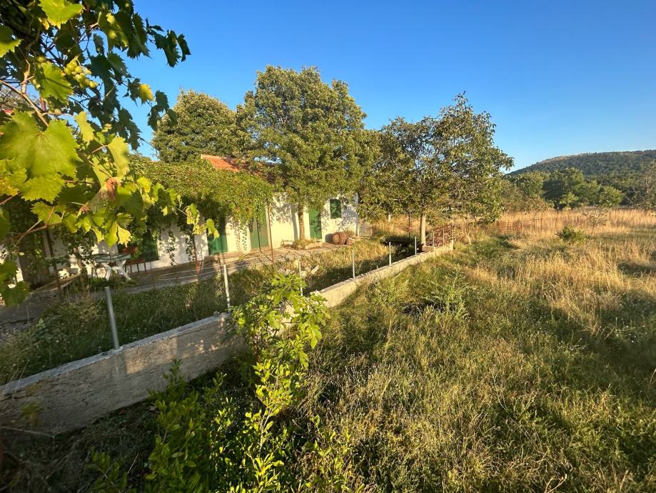 Samostojeća kuća i parcela od 3000m2 - Ogorje, Muć (prodaja)