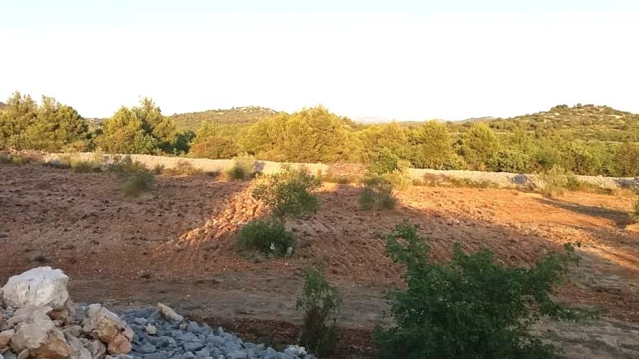 Šibenik (Vodice) građevinsko zemljište 15 988 m2 (maslinik, vlastita v