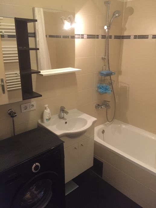 Siget, Super Andrija, 1-soban stan, 50 m2 (iznajmljivanje)