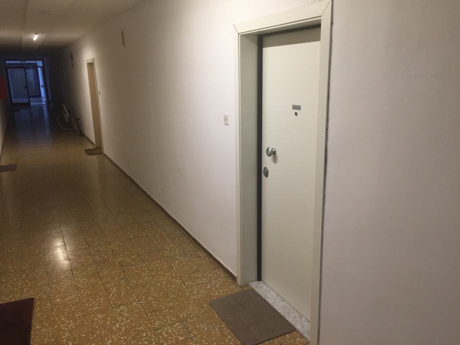 Siget, Super Andrija, 1-soban stan, 50 m2 (iznajmljivanje)