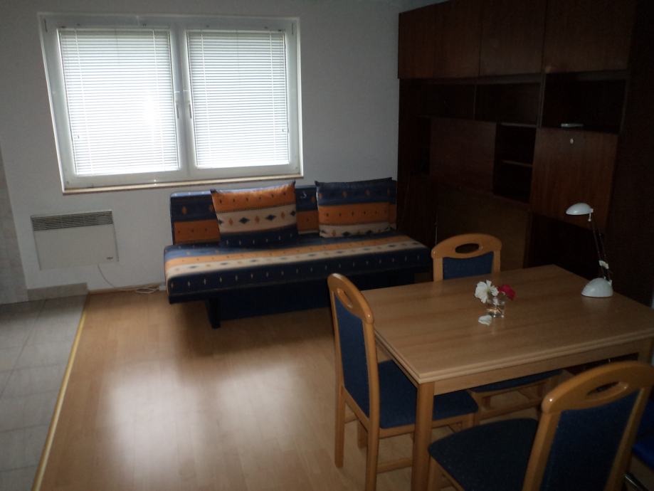 Stan: 30 m2 (iznajmljivanje)