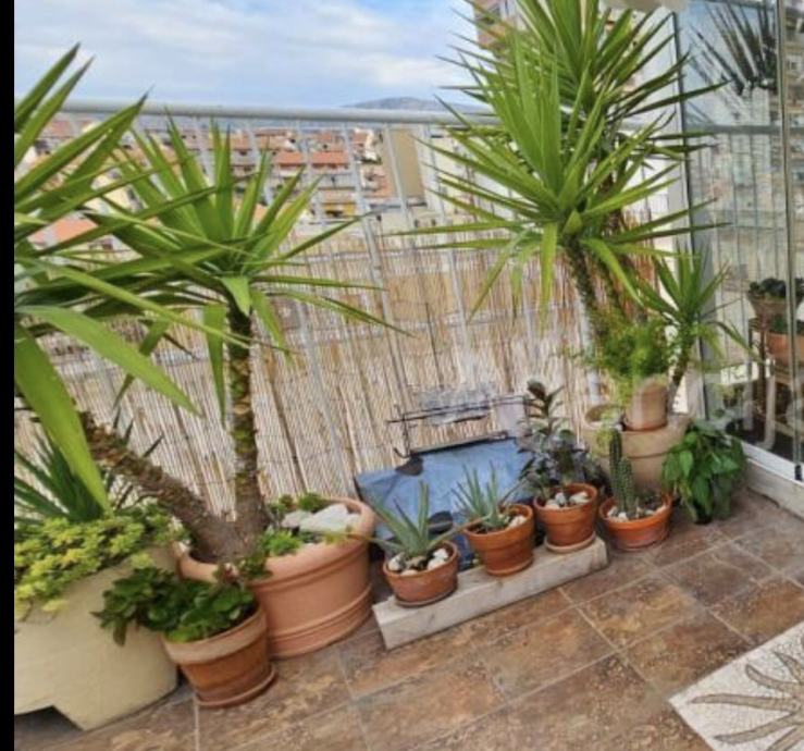 Stan,Mertojak,Doverska ul,4k, 80m, trosoban s terasom (prodaja)