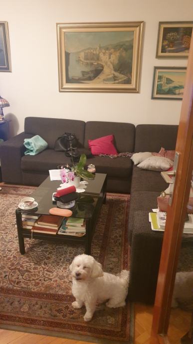 Stan Rastočine,Rijeka (prodaja)