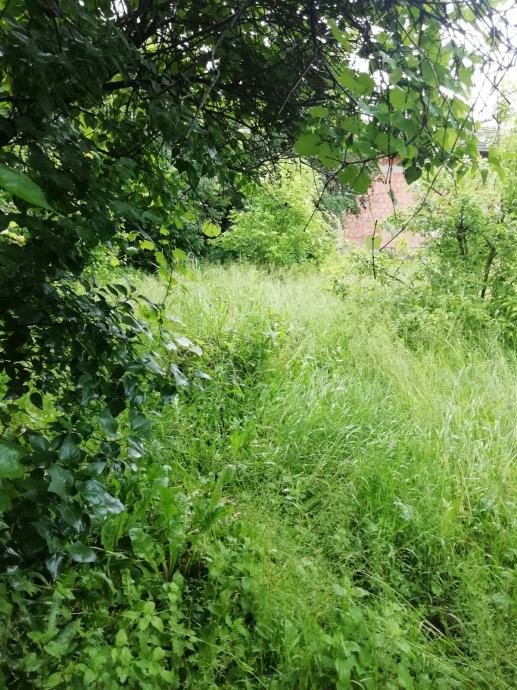 Stara kuca za obnovu na prekrasnoj lokaciji u samnom centru grada (prodaja)