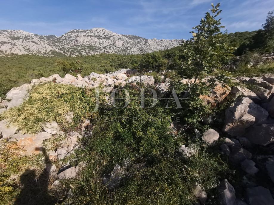 Stinica građevinski teren