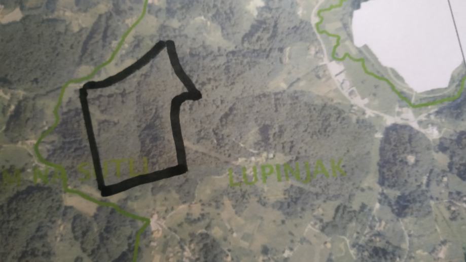 Šuma bukve 13.372 m2 + 1317 m2 oranice, Lupinjak