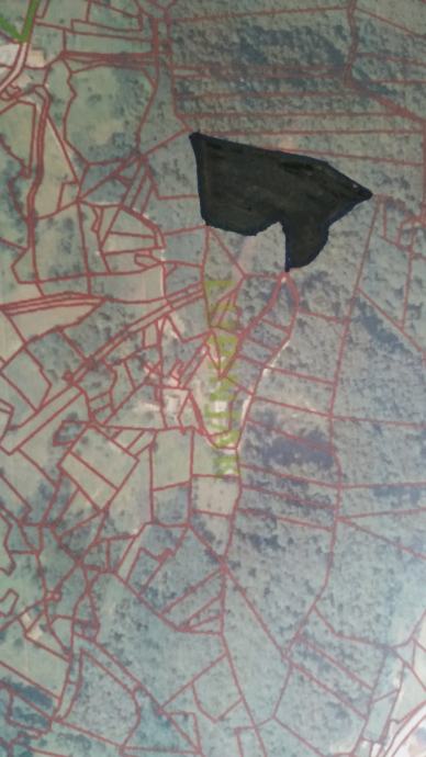 Šuma bukve 13.372 m2 + 1317 m2 oranice, Lupinjak