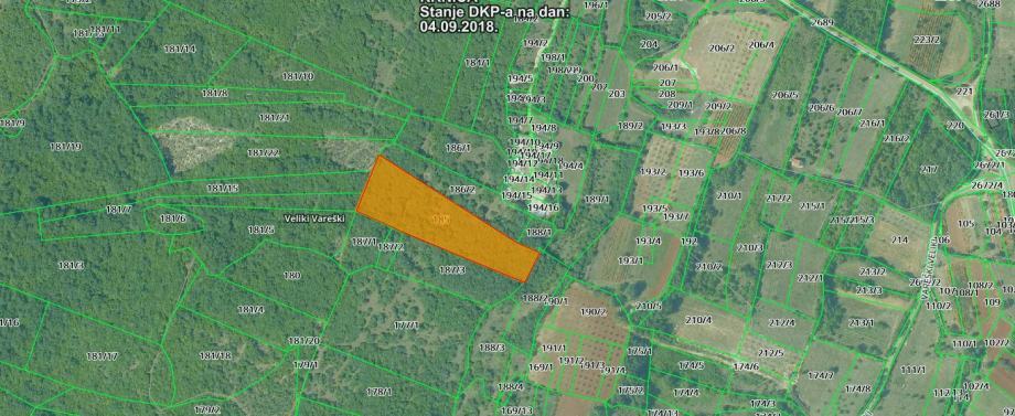 Šuma hrasta medunca, Marčana, 12157 m2, SNIŽENO!