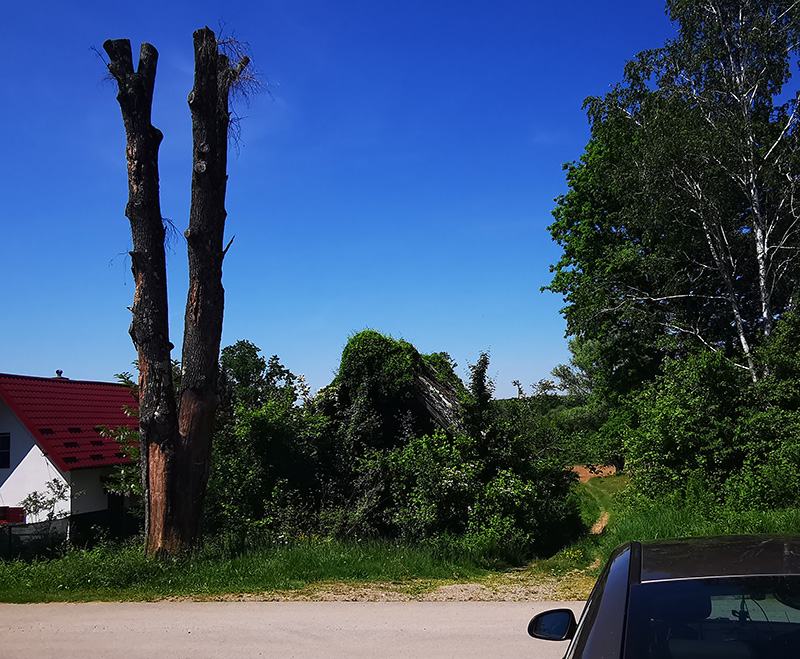 Teren s kućom, Jamnička kiselica / Lasinja, pored Kupe, 802 m2