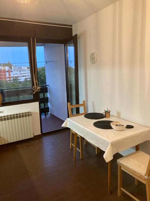 Trazim cimera/cimericu u Dugavama, 250€ + rezije