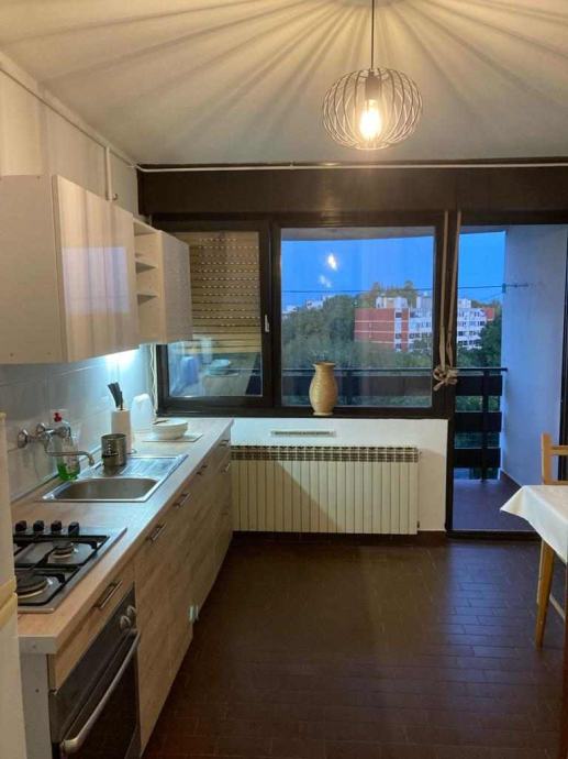 Trazim cimera/cimericu u Dugavama, 250€ + rezije