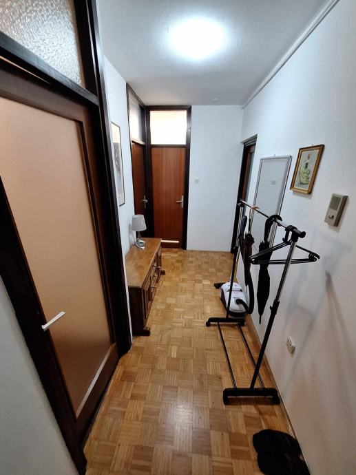 Trazim cimera/cimericu u Dugavama, 250€ + rezije