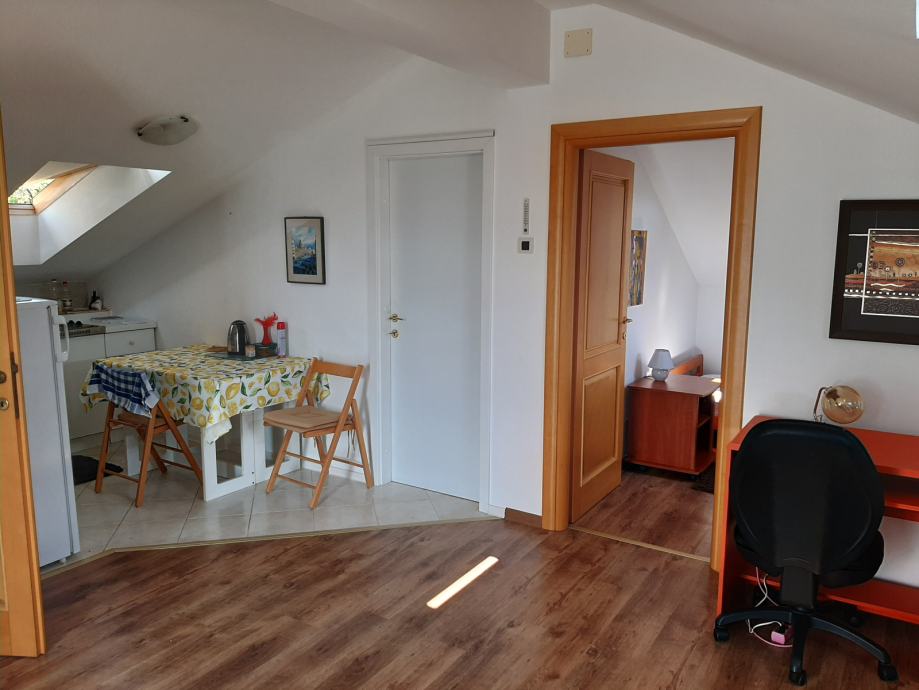 Trazim cimericu u dvosoban stan