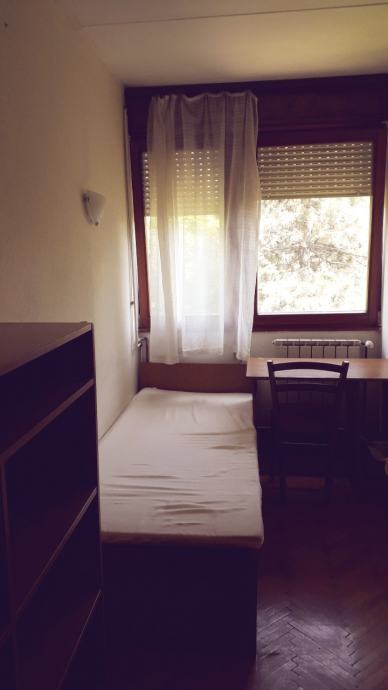 TRAZIM CIMERICU, STAN NA BORONGAJU