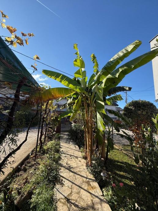 VELIKA GORICA-CENTAR, kuća sa 3 stana (prodaja)