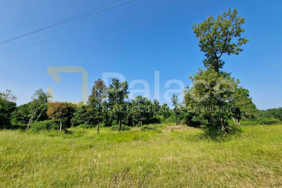 Veliki građevinski teren: mir i priroda nadomak Rijeke, Breza, 1.507m²