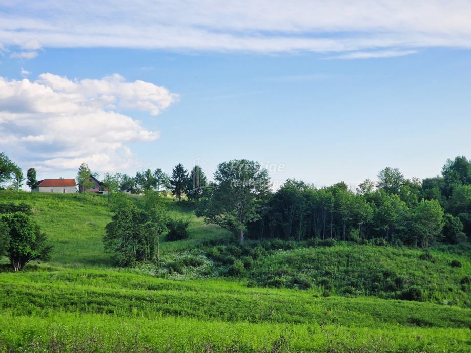 Veljun, kuća u netaknutoj prirodi (prodaja)
