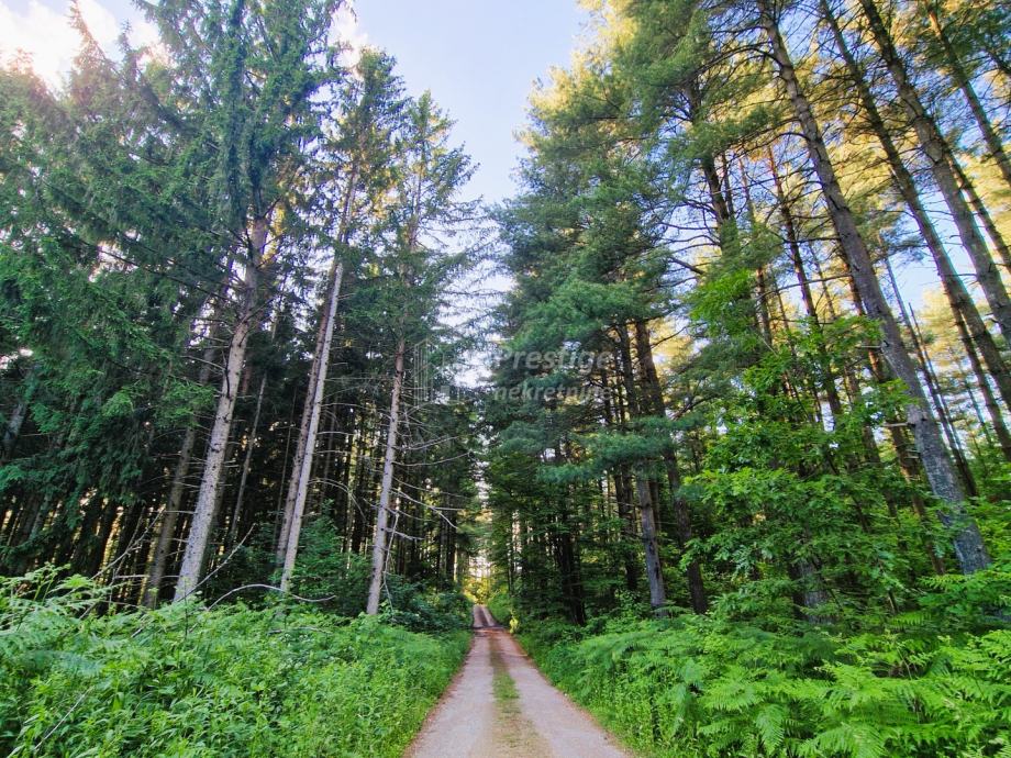 Veljun, kuća u netaknutoj prirodi (prodaja)