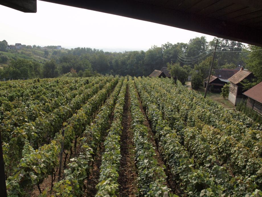 Klijet i vinograd Štakorovec, Zagrebačka županija