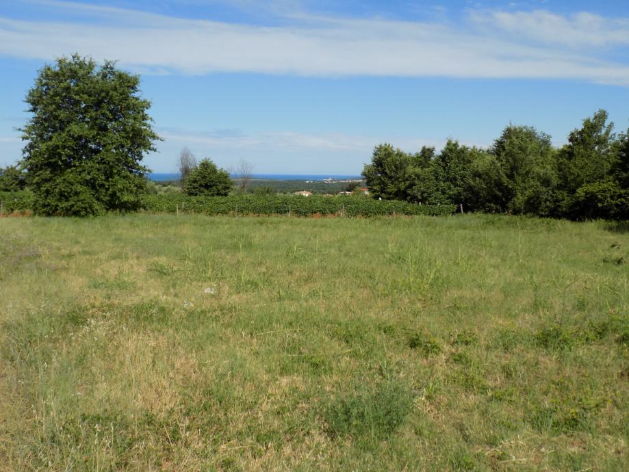 Vinograd- Poreč (Nova Vas) Malvazija i Teran