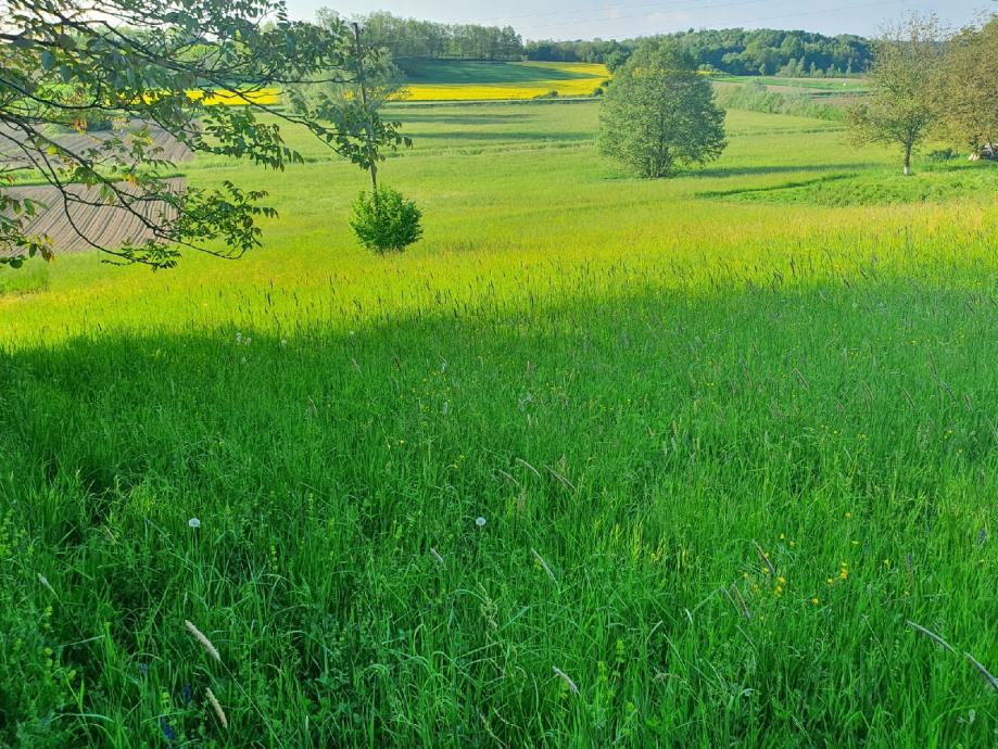 Zemljiste Bjelovar