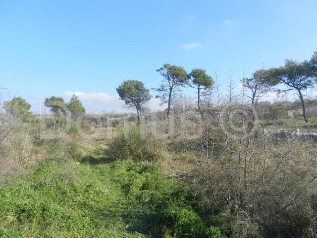 Vodice, poljoprivredno zemljište 5.670m2, 2km do mora