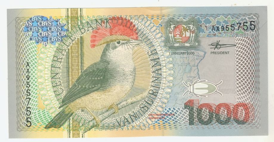 PAPIRNI NOVAC NOVČANICE CIJELI SVIJET
