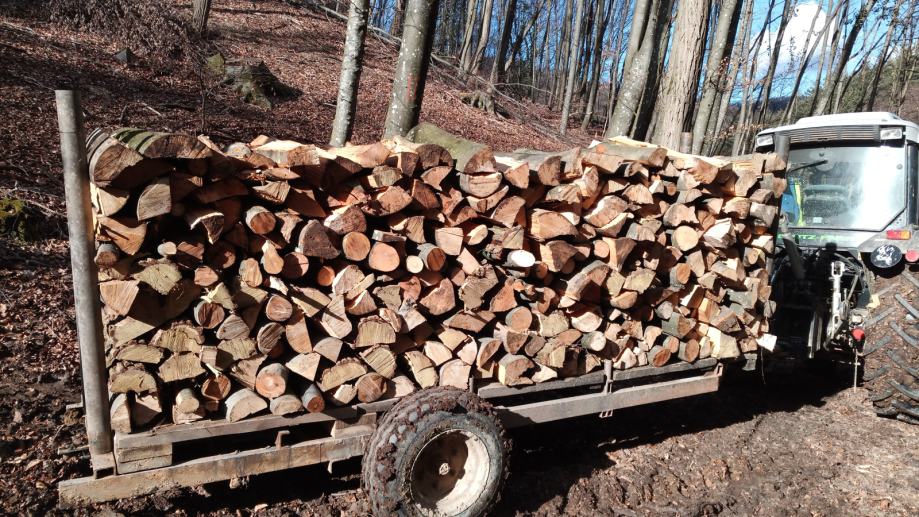 Drva za ogrijev, bukva, grab, hrast, cer, bagrem