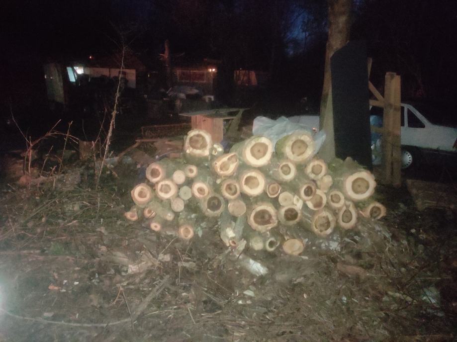 drva za ogrjev Jablan