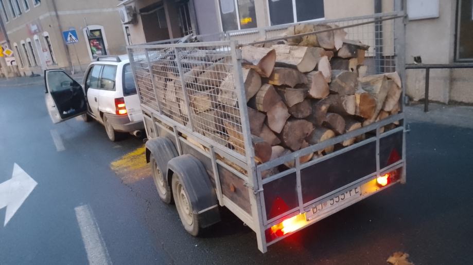 Grab, bukva, agacija