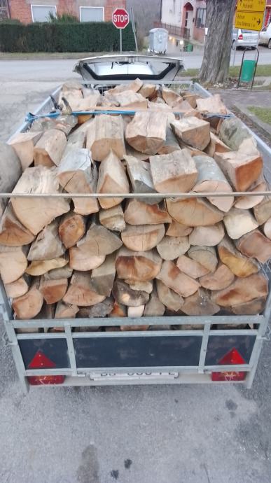 Grab, bukva, agacija