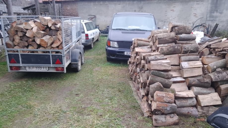 Grab, bukva, agacija