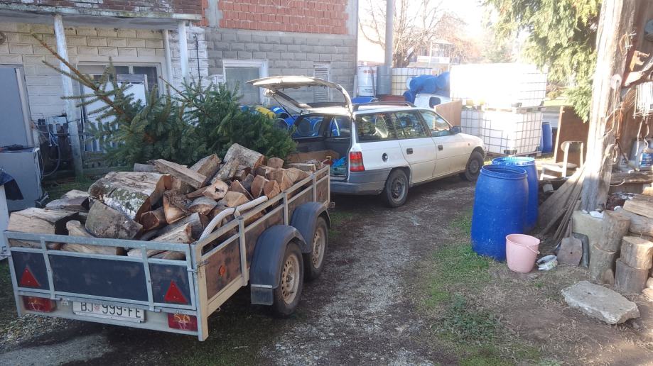 Grab, bukva, agacija