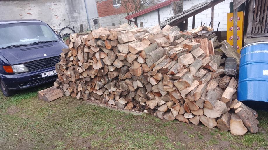 Grab, bukva, agacija