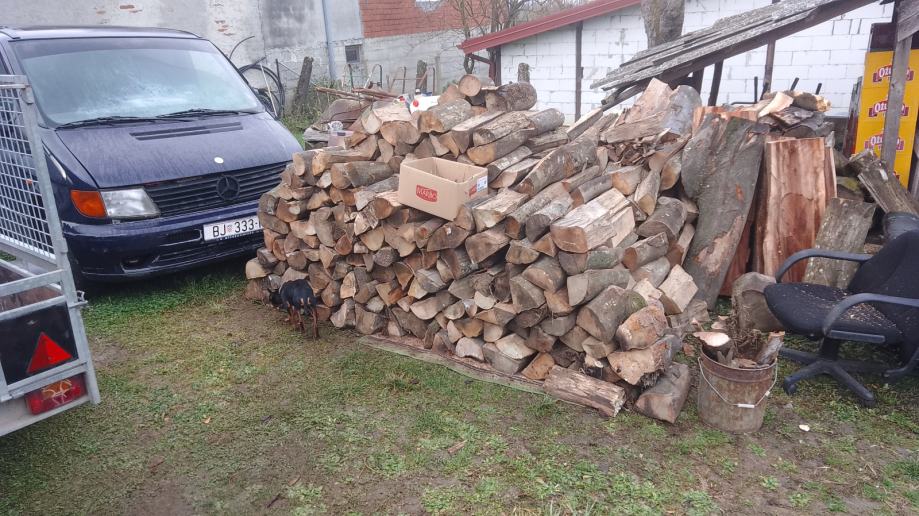 Grab, bukva, agacija