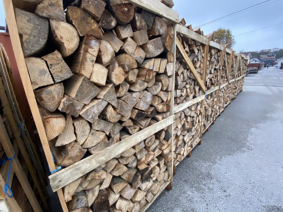 OGRIJEVNA DRVA BUKVA GRAB