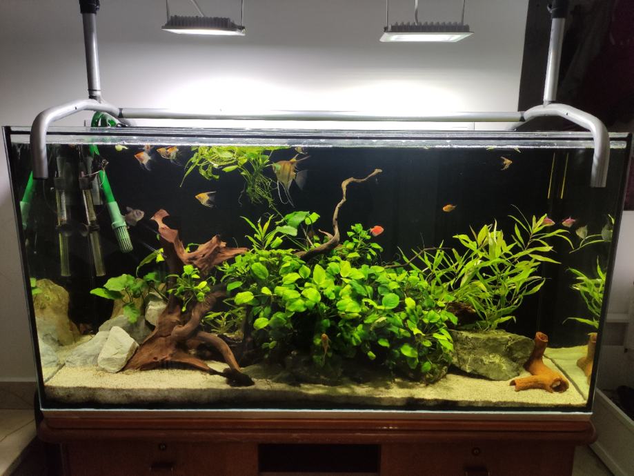 Akvarij 300L sa svom opremom